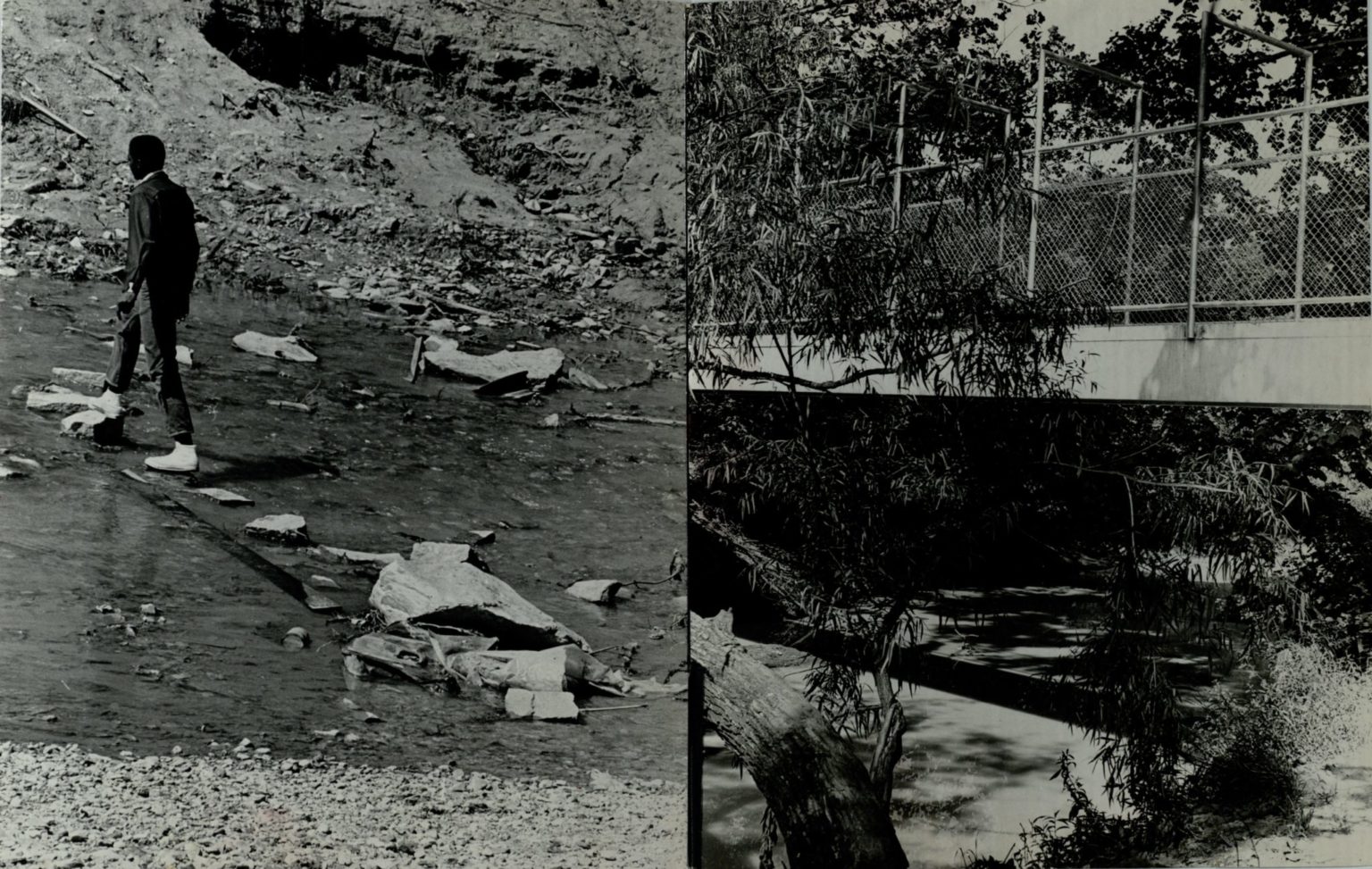 Black Women at the Fore: Perry Homes and the Transformation of Tenant ...